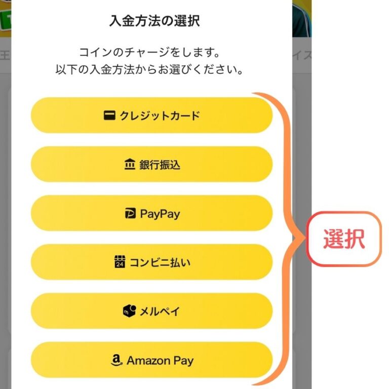【超便利】日本トレカセンターの支払い方法は6つ！PayPayやメルペイも使える | オリパトレジャー